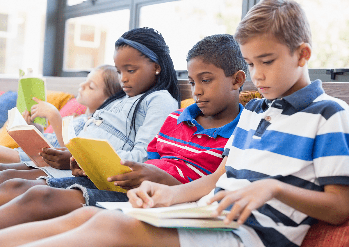 Student Literacy Development